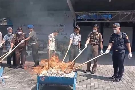Ratusan Ribu Rokok Ilegal Di Musnahkan Bea Cukai Madiun Termasuk Dari Ponorogo Koran Memo