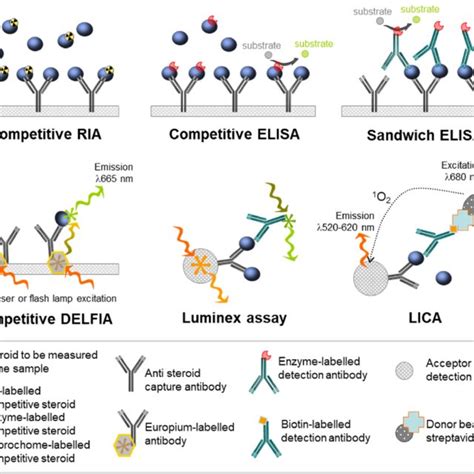 A Schematic Explanation Of The Principal Immunological Assay Types All
