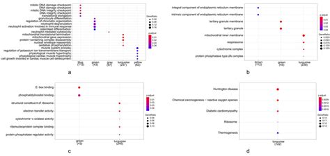 Go Annotation And Kegg Pathway Enrichment Analysis A Biological