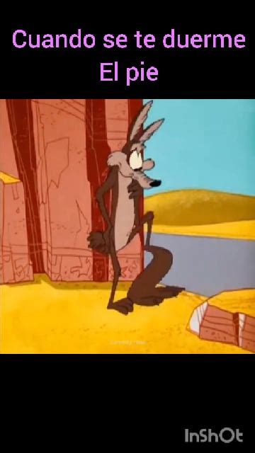 Cuando Se Te Duerme El Pie R Vicio