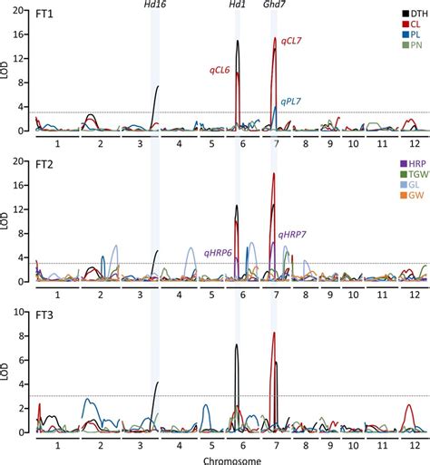 Qtl Mapping For Agronomic Traits From The Koshihikaribaegilimi Rils Download Scientific