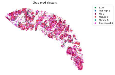 Mouse Spleen Cellbin DIRAC For Spatial Localization Of Immune Cells