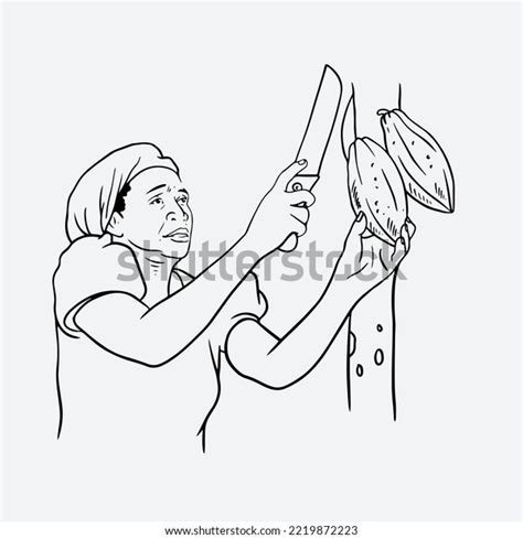 Cocoa Drawing Ink On Paper Chocolate Stock Vector Royalty Free Shutterstock