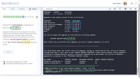 Why We Don`t Use Version From Kubeadm Upgrade Plan For Upgrade