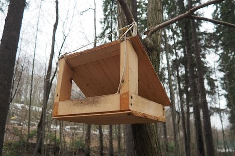 Premium Photo Hanging Homemade Feeder Or Platform For Feeding Birds