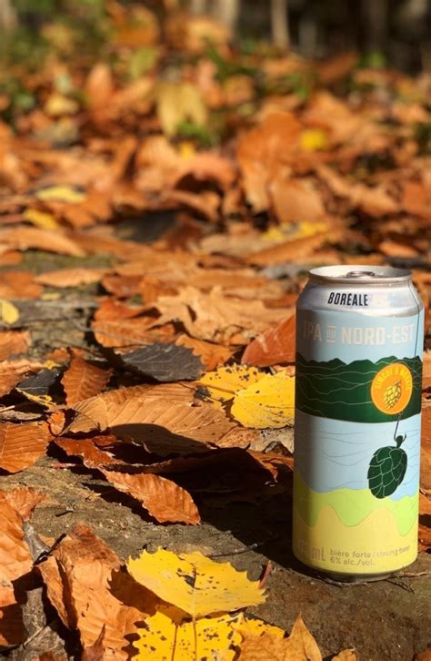 Boréale Microbrasserie Les Brasseurs Du Nord