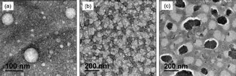 TEM Micrographs Of Nanoparticles A CS TPP Control B CS CEO And Download Scientific
