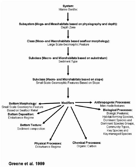 Schematic Representation Of The Greene Et Al Hierarchy Depicting The Download Scientific