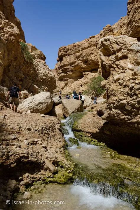 Wadi Bokek Water Trail By The Dead Sea Visitors Guide Israel In