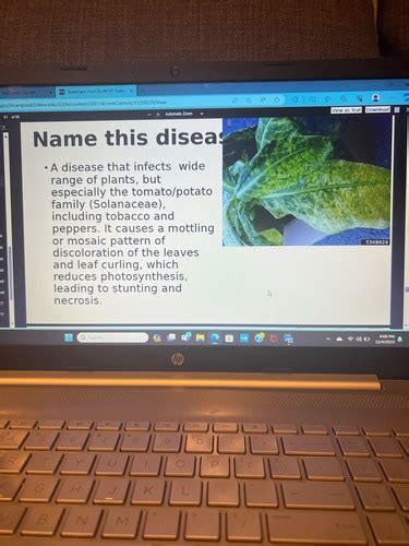 Exam Flashcards Quizlet