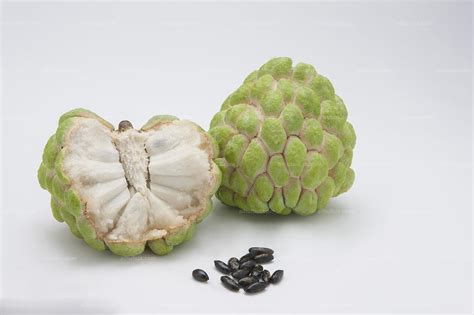 番荔枝图片果实的番荔枝图片大全 花卉网