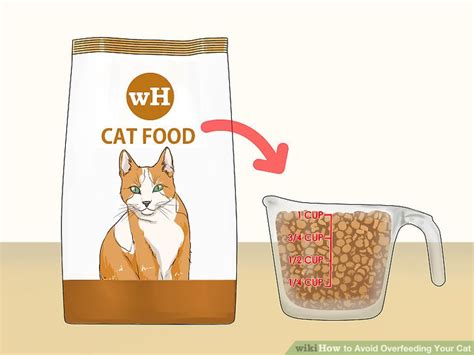 How To Avoid Overfeeding Your Cat 10 Steps With Pictures