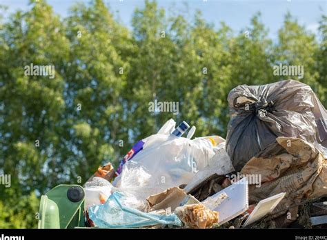 La Devastadora Historia De Los Productos Desechables Un Impacto Sin Precedentes