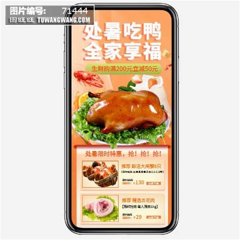 处暑节气吃鸭滋补活动海报模板下载 编号：71444其他其他图旺旺在线制图软件