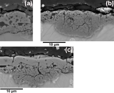 Structure Of Oxide Layers Transverse Thin Sections Formed By Peo On