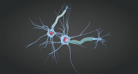 Neuron 3d Animation