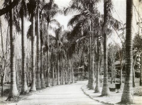 1948年嘉義八景之五林場風清 文化部國家文化記憶庫