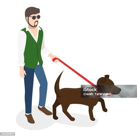 3d 등각 투영 평면 벡터 일러스트 의 다른 유형의 장애 항목 6 Health에 대한 스톡 벡터 아트 및 기타 이미지 Health 가족 등측투영법 Istock