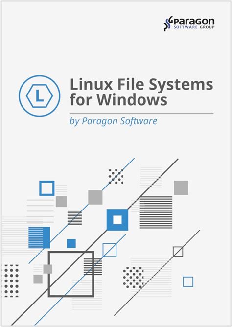 Amazon.com: Linux File Systems for Windows by Paragon Software ...