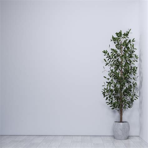 Premium Photo Indoor Tree In The Corner Of The Room