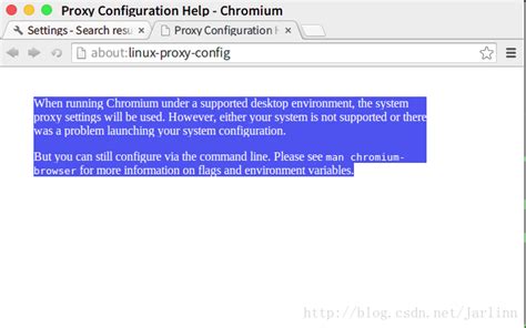 怎样在让chromium或者chrome在开启时就运用代理连接？man Chromium Csdn博客