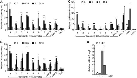 Enhancer Properties Of Transiently Acetylated Regions Occupied By Gr