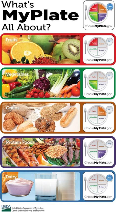 Amazing Cooking Tips Myplate Teaches The 5 Food Groups Fruits