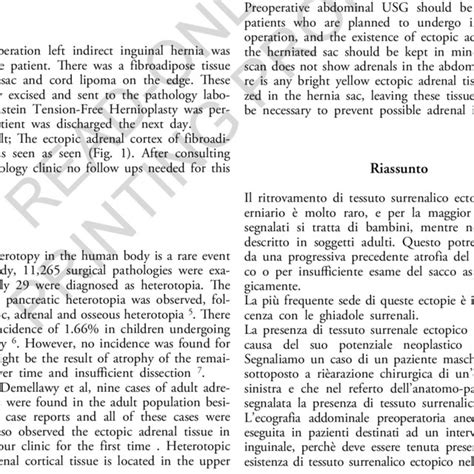 Ectopic Adrenal Cortex Tissue In Area Fibroadipose Tissue Indicated By Download Scientific
