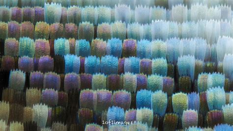 Carlos Abdiel Hernández Rivera