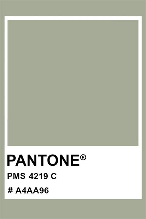 Pantone C Pantone Color Pms Hex Brand Color Palette Colour