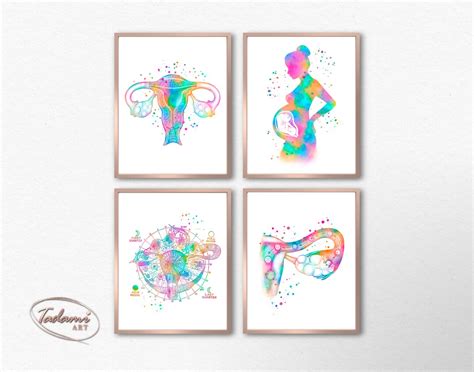 Female Anatomy Print Gynecologist Poster Obgyn Wall Art Women Period