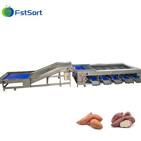 Stainless Steel Sweet Potato Onion Sorting Machine Vegetable Grading
