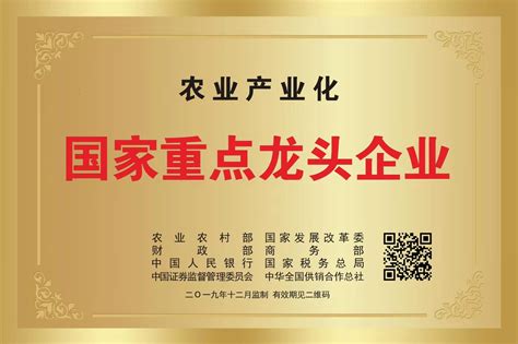 首页 安徽荃银高科种业股份有限公司