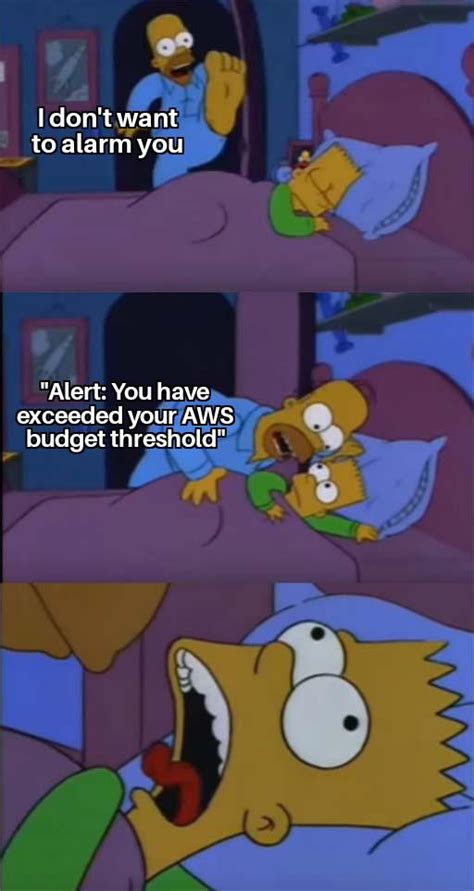 Cloudwassupposedtobelessexpensive ·