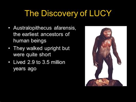 Early Humans Lucy