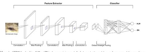 Figure 1 From Artificial Intelligence In Cutaneous Oncology Semantic