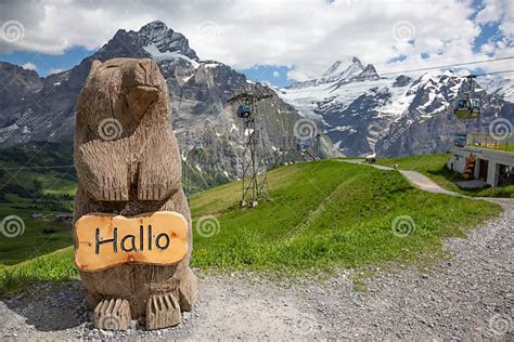 Grindelwald First With Marmot Holding A Greating Stock Image Image Of