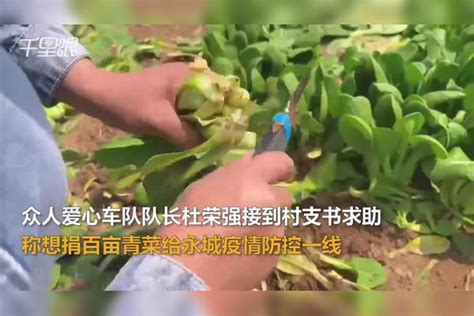 【河南】村民们想捐百亩蔬菜给抗疫一线缺人手，50名志愿者一天帮忙采摘十吨青菜缺人蔬菜一线