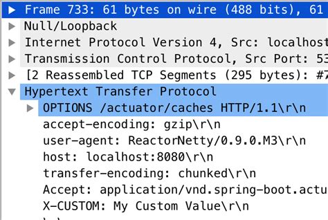 Headers Specified In Httpheadersprovider Are Not Used For Probe Requests Issue