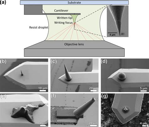 Tailored Afm Probes Created Via 3 D Direct Laser Writing