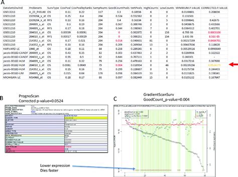 Comparison Of Gradientscansurv With Prognoscan Results For The Kras