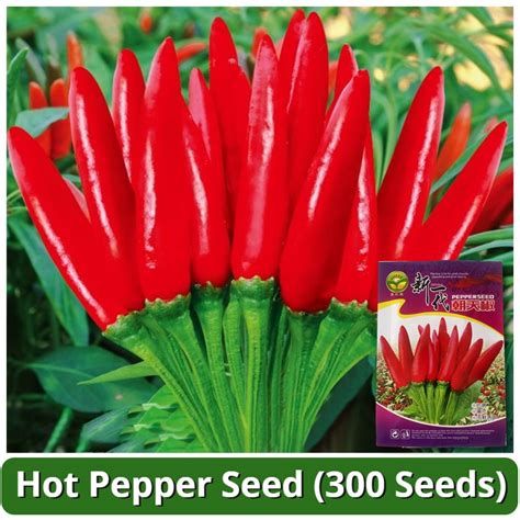 High Yield Organic Super Hot Pepper 300 Seeds Red Hot Chili Pepper
