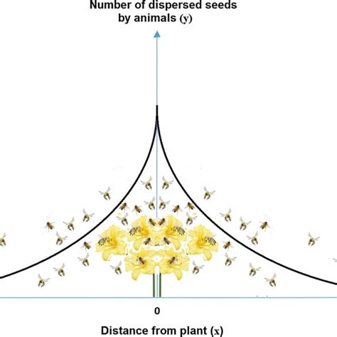 1d Distribution Of Dispersed Seeds By Animals Number Of Seeds Y In
