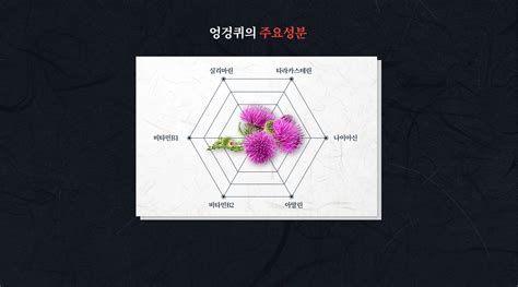 마가보감