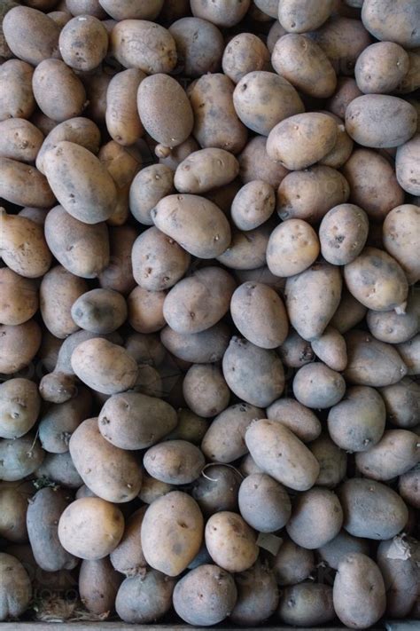 Image Of Potatoes Austockphoto