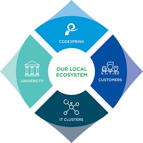 Codespring Ecosystem Codespring Software Development And Outsourcing Company Cluj Napoca