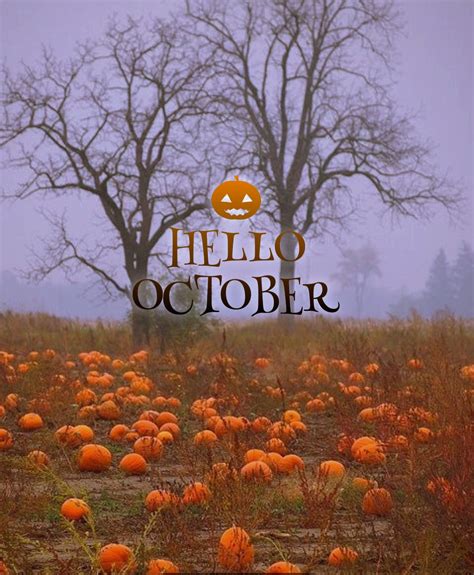 Hello October Hello October Neon Signs Seasons Of The Year