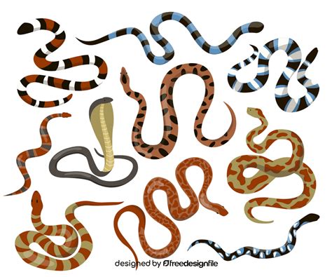 Snakes Vector Free Download