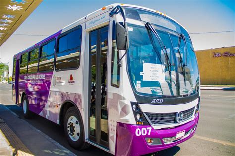 Exhortan a Hacienda y al IMOS para crear una Ruta Violeta más en