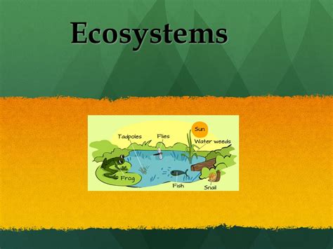 Ecosystem Definition Science